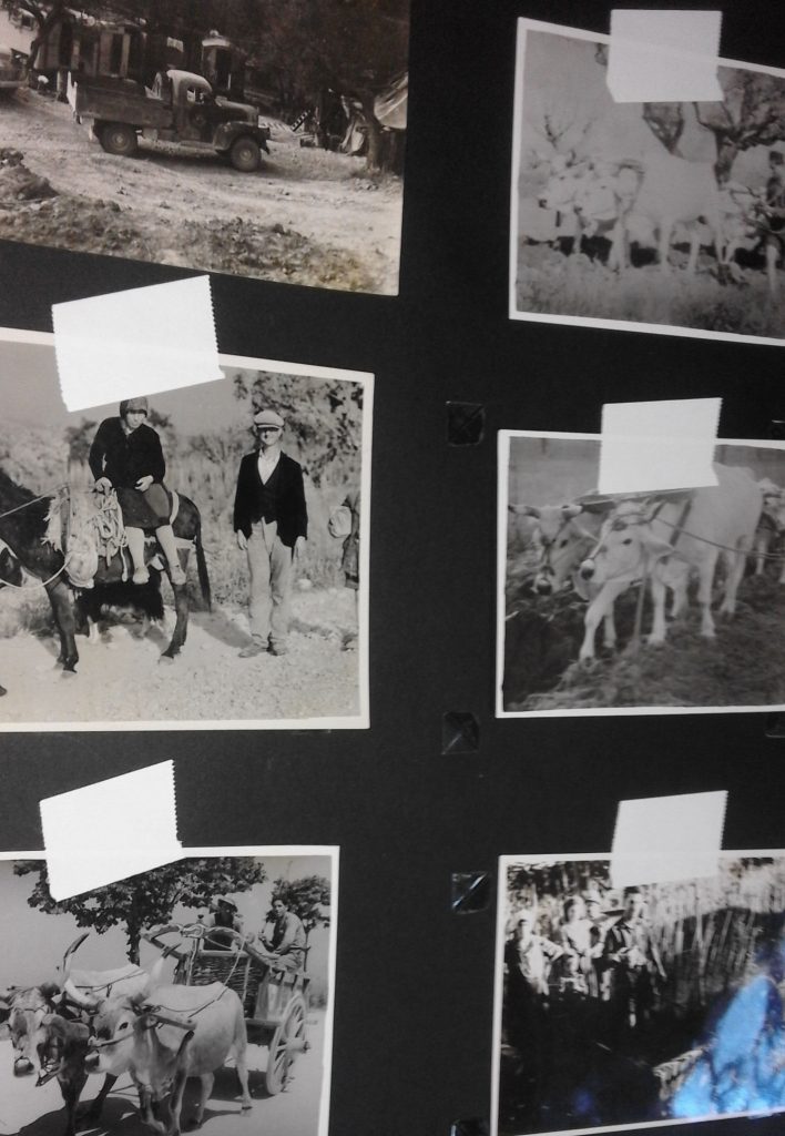 South African Air Force Archives - Memory@UCT